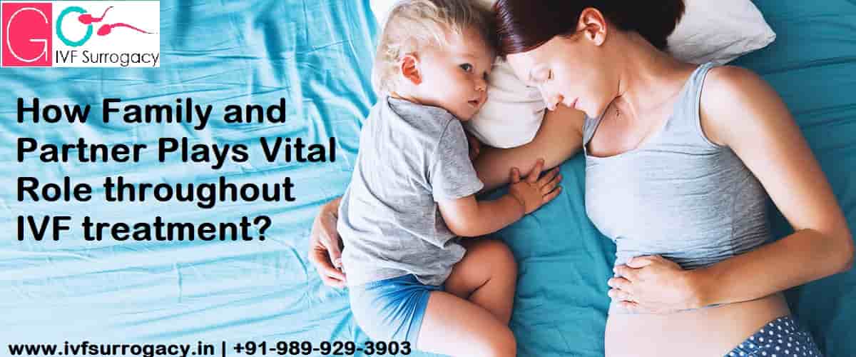 How Family and Partner Plays Vital Role throughout IVF Treatment?